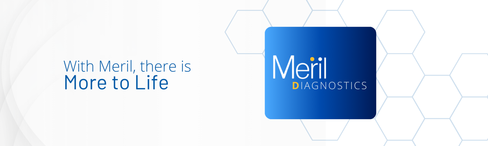 About Meril - Meril Life GmbH